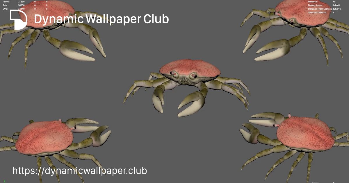 c2 - Dynamic Wallpaper Club