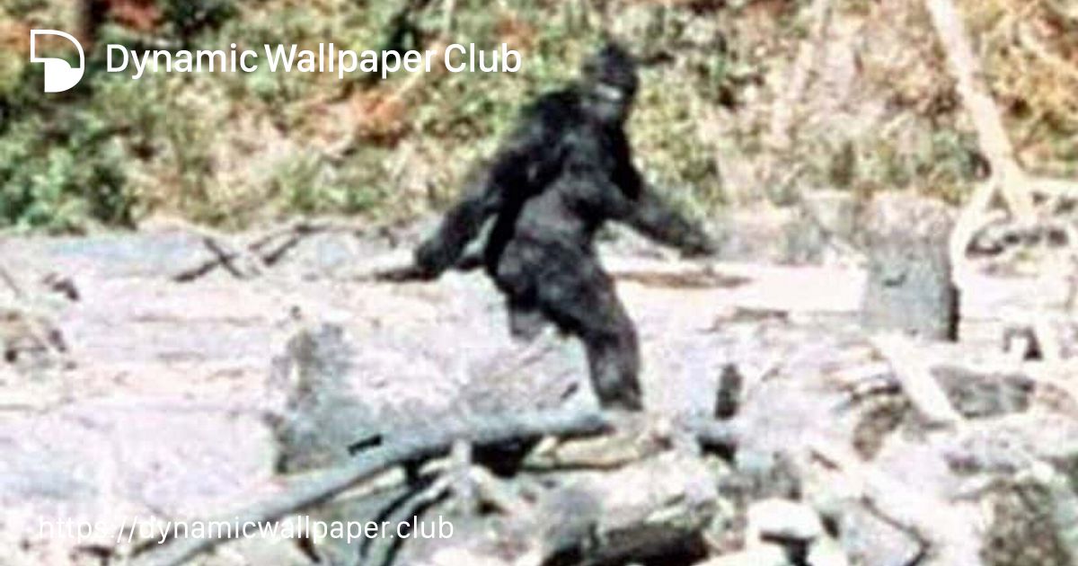 Cryptids - Dynamic Wallpaper Club