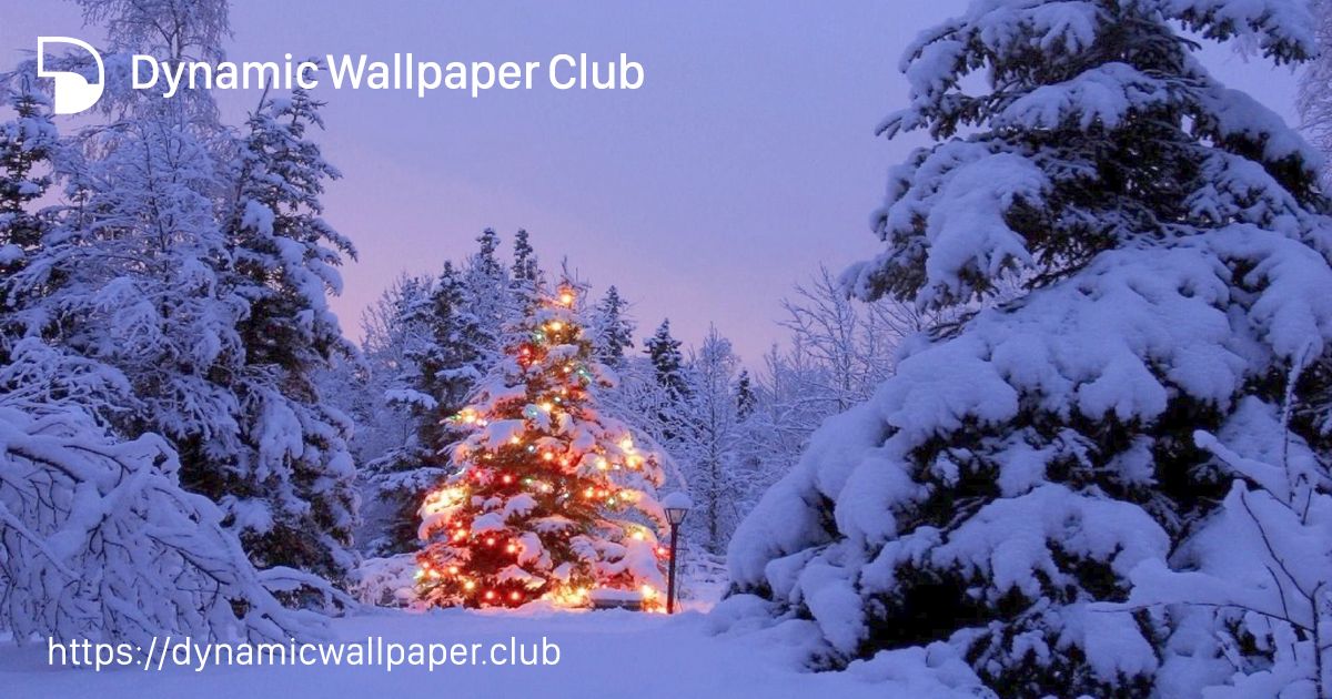 christmas - Dynamic Wallpaper Club