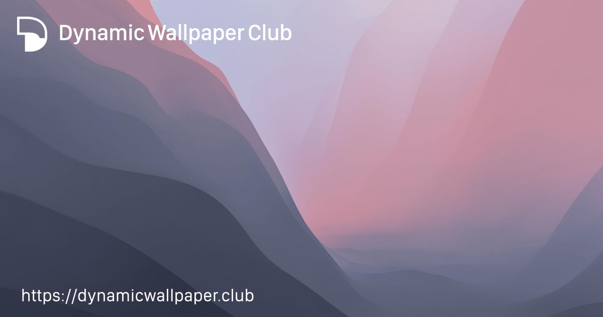 cozy cat - Dynamic Wallpaper Club
