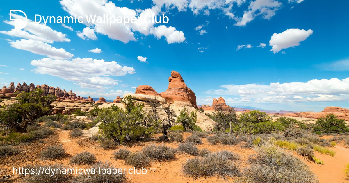 Desert (test) - Dynamic Wallpaper Club