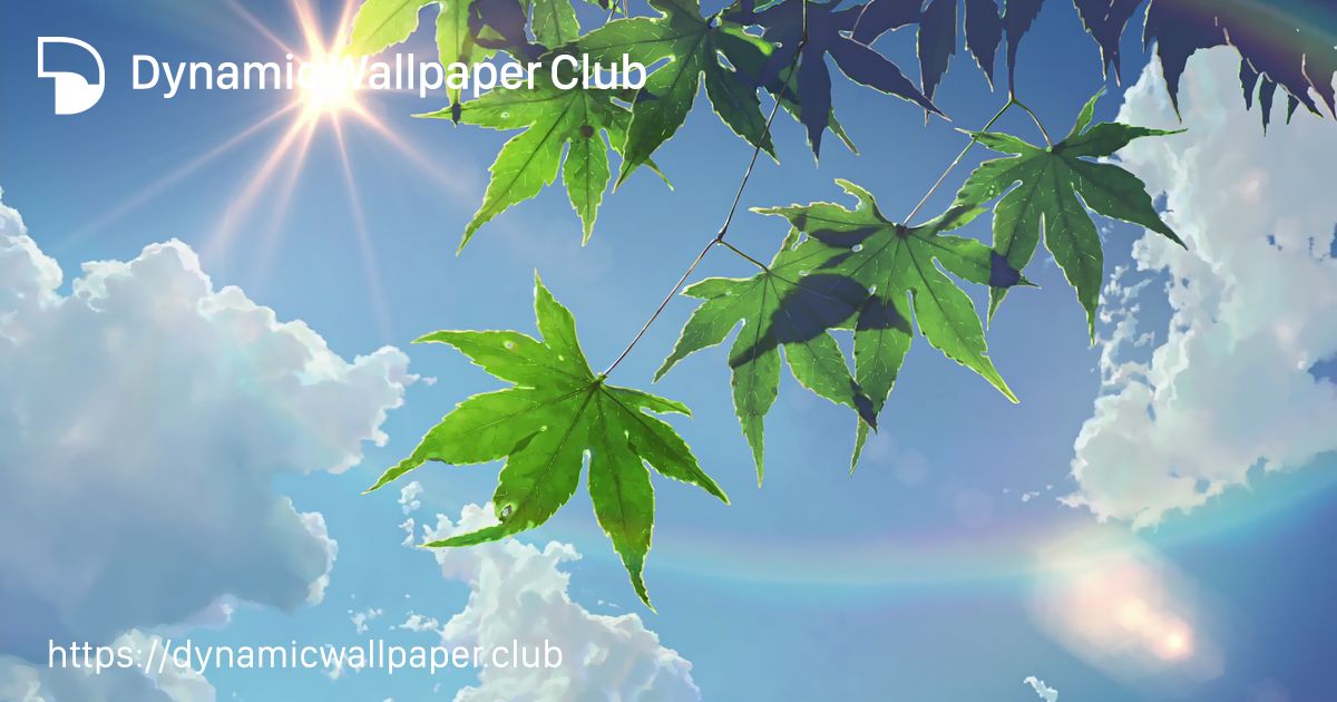 Plantitas verano - Dynamic Wallpaper Club