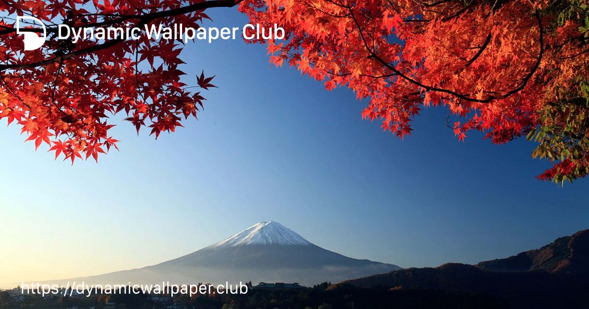 japan - Dynamic Wallpaper Club