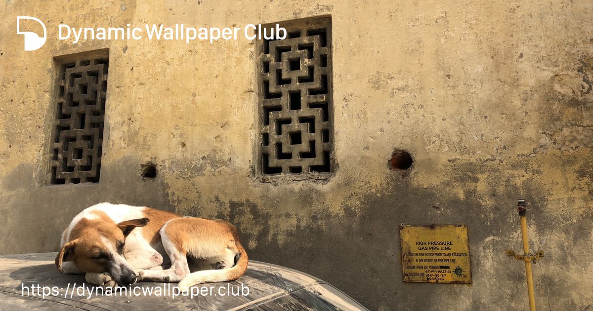 Delhi Day and Night - Dynamic Wallpaper Club