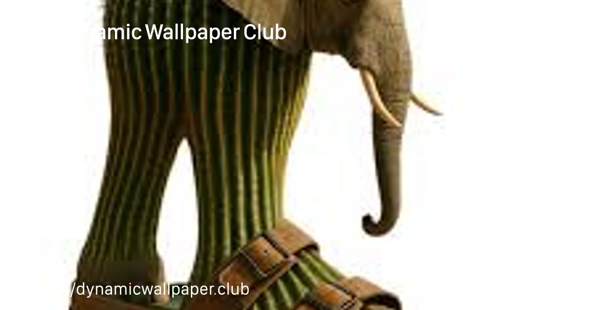 idk - Dynamic Wallpaper Club