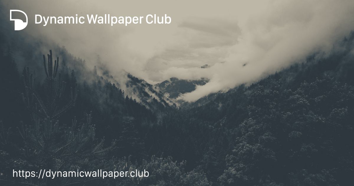 everforest variant1 - Dynamic Wallpaper Club