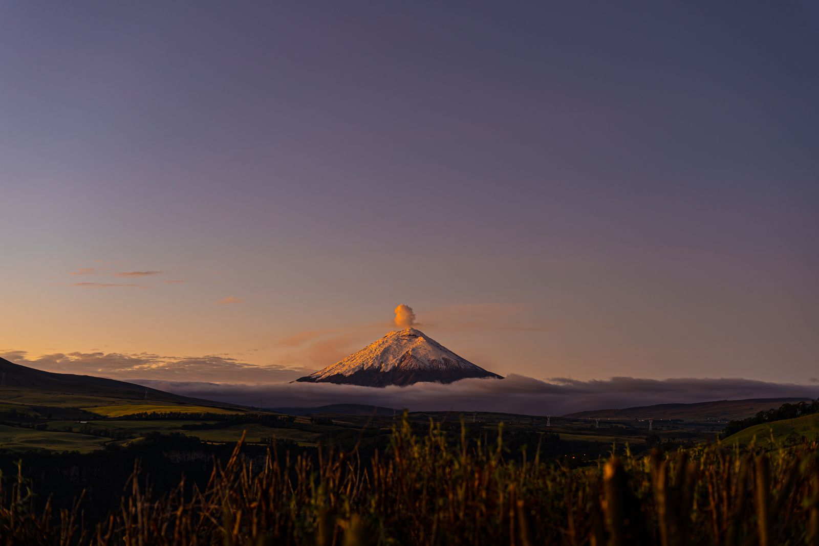 Dynamic Wallpaper Gallery - Dynamic Wallpaper Club