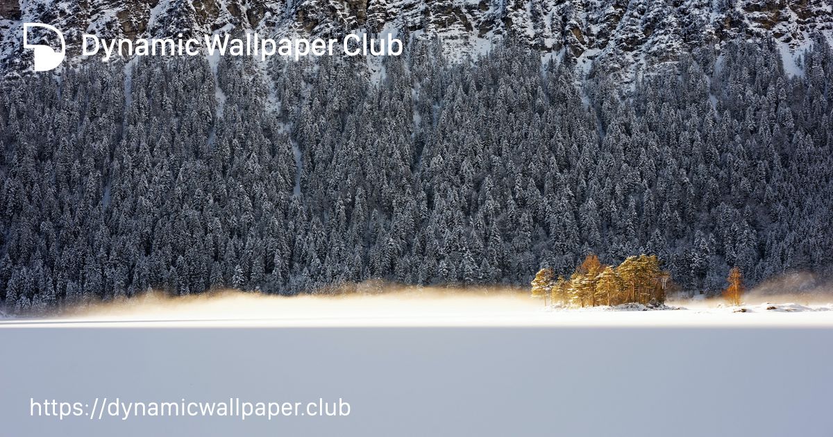 Winter - Dynamic Wallpaper Club