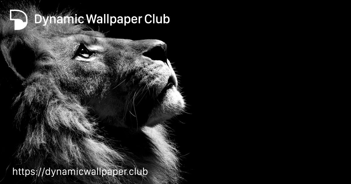 Art - Dynamic Wallpaper Club
