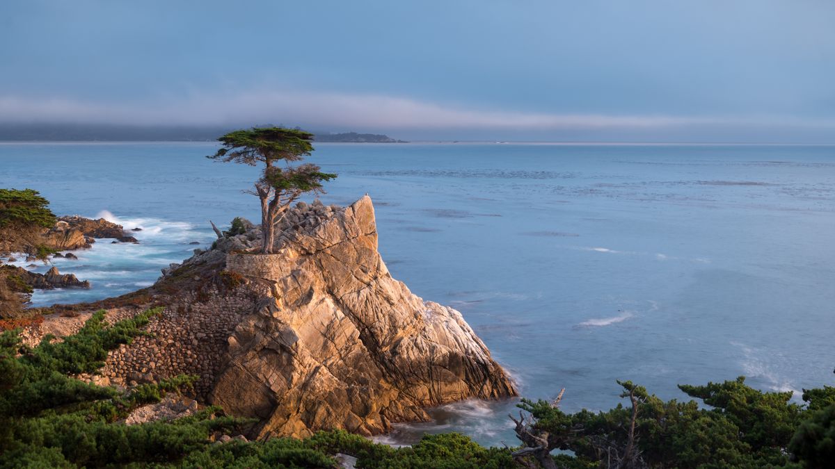 macOS Monterey - Dynamic Wallpaper Club