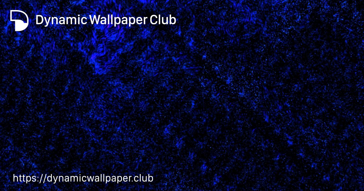 darknotch - Dynamic Wallpaper Club