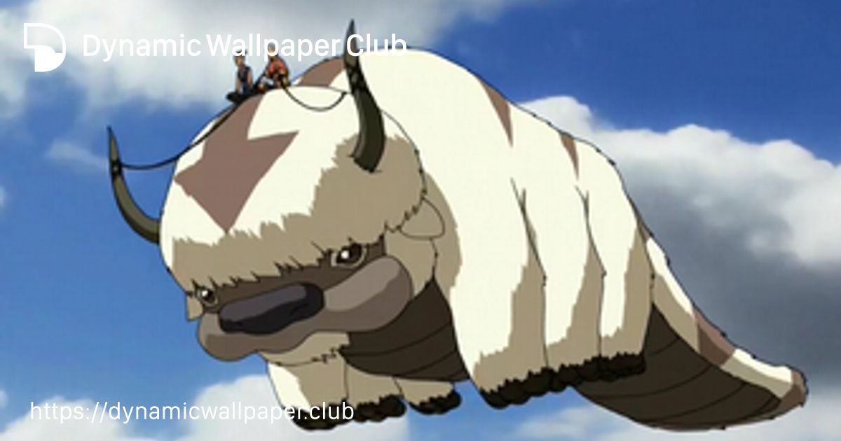 appa - Dynamic Wallpaper Club
