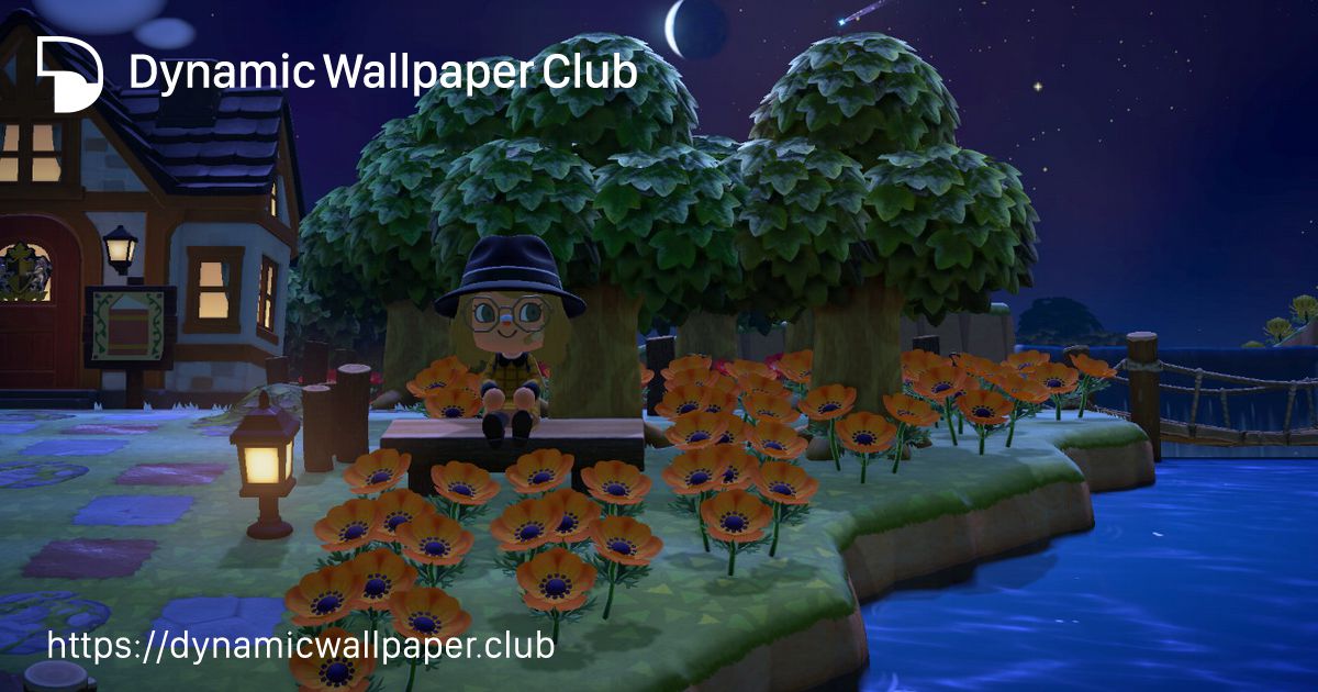 Life On Eroda - ACNH - Dynamic Wallpaper Club