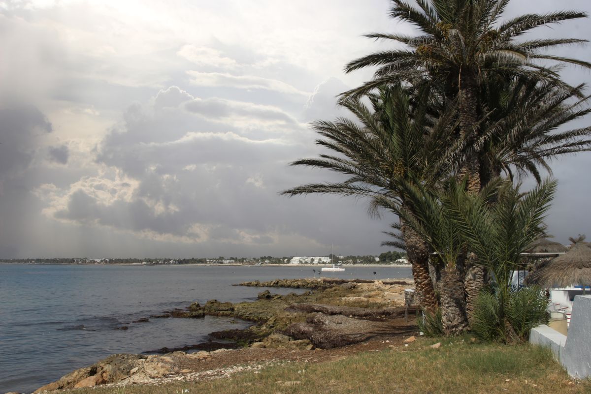 Djerba - Dynamic Wallpaper Club