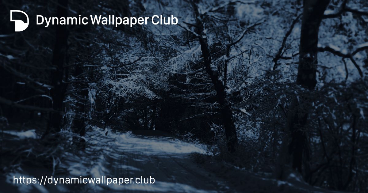 Winter 01 - Dynamic Wallpaper Club