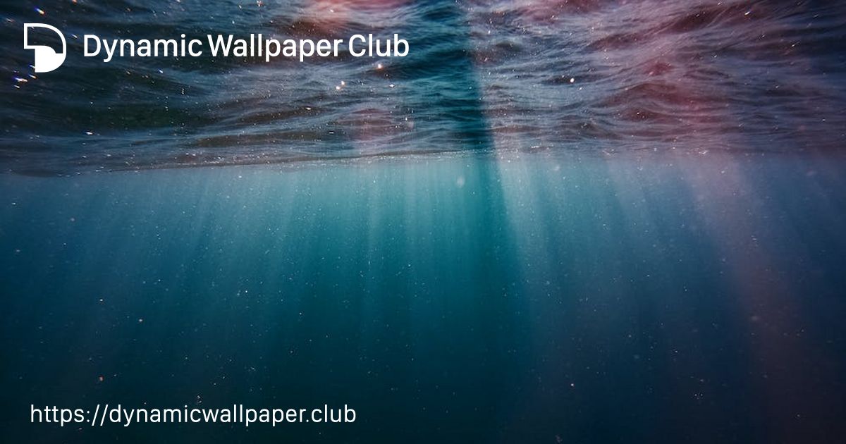 Under Water - Dynamic Wallpaper Club