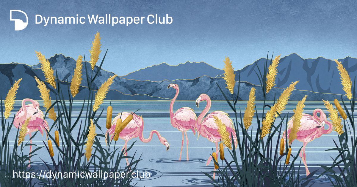 Flamingo - Dynamic Wallpaper Club