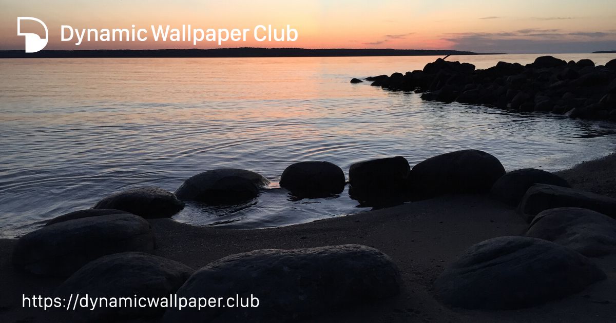 MF - Dynamic Wallpaper Club