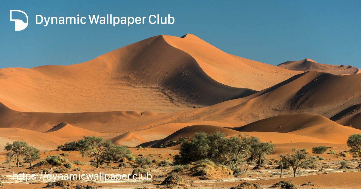 Namibia Dunes by FedeMarin - Dynamic Wallpaper Club