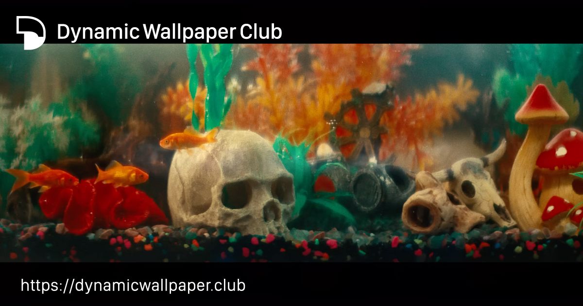 isaac - Dynamic Wallpaper Club