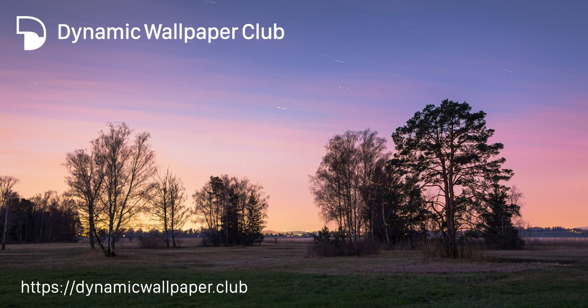 Marshland - Dynamic Wallpaper Club