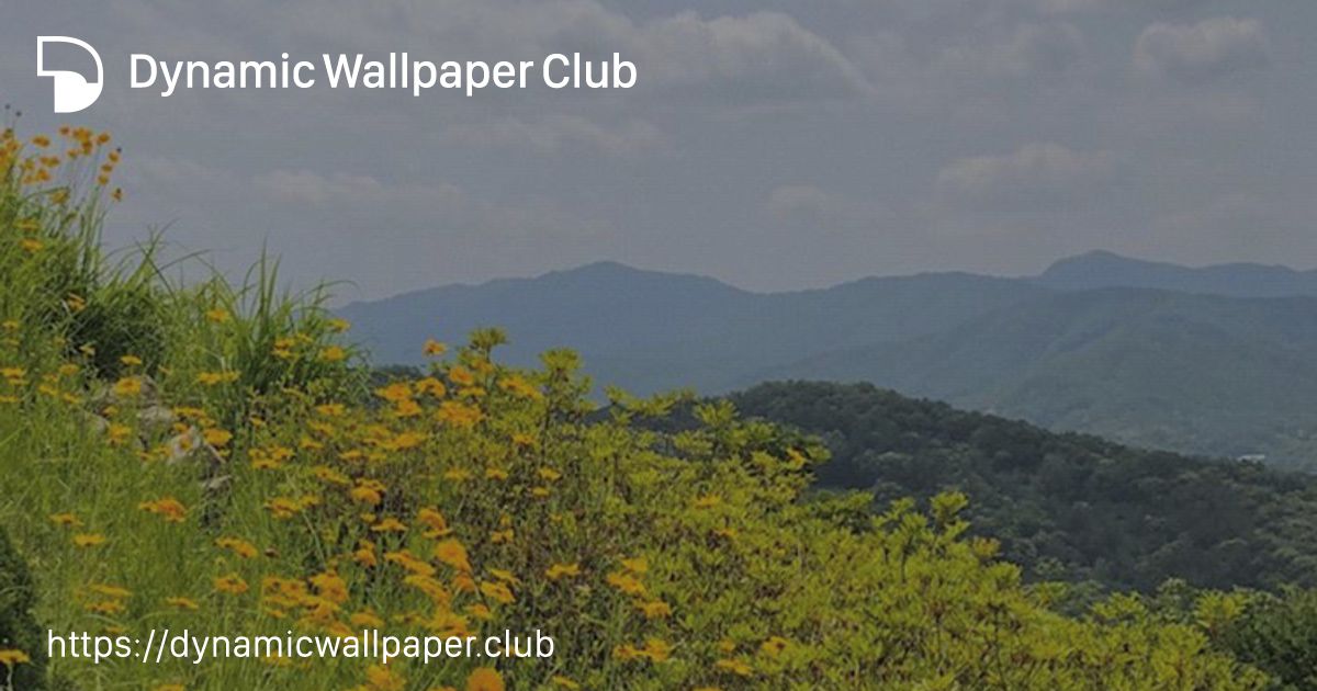 Dik - Dynamic Wallpaper Club