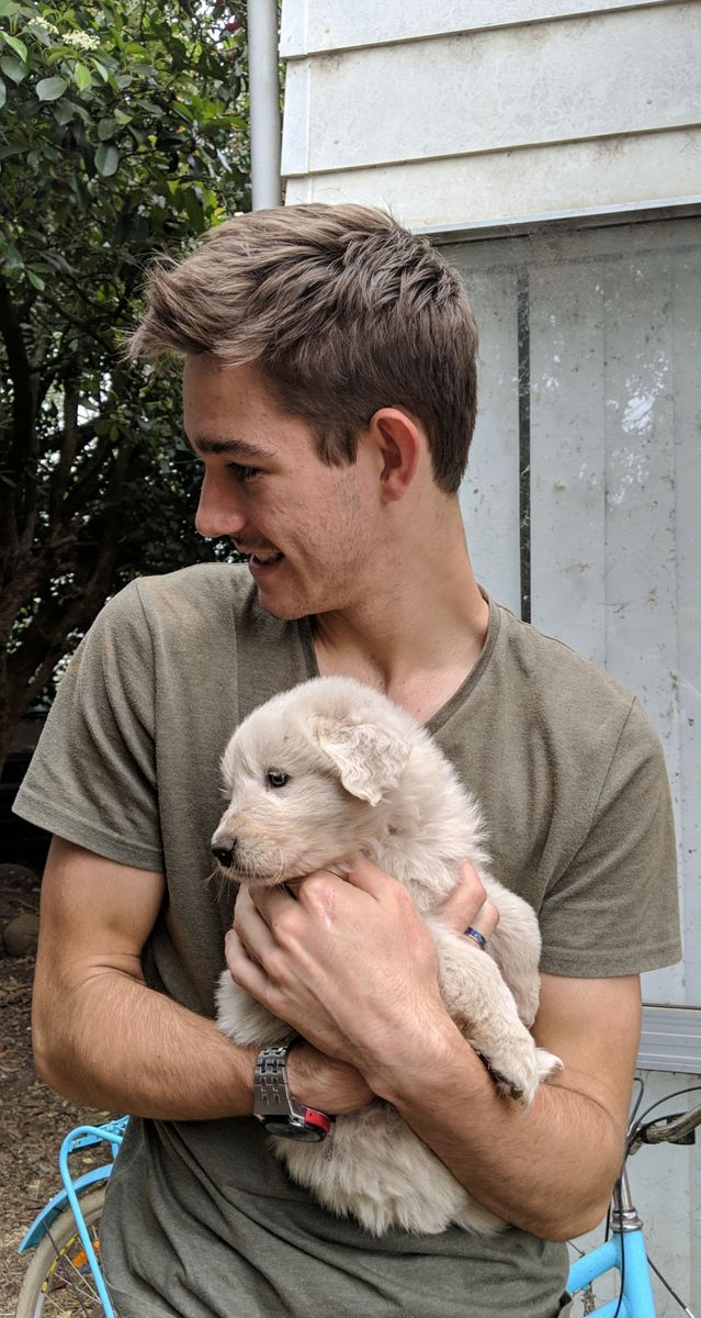 yo - Dynamic Wallpaper Club