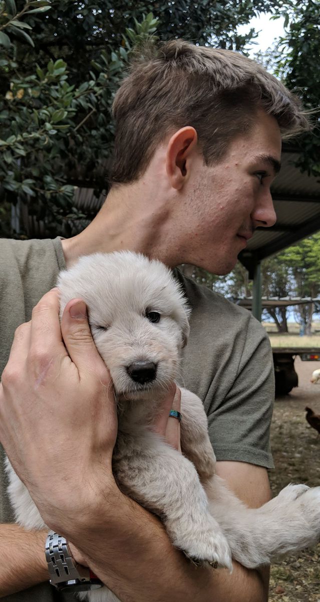 yo - Dynamic Wallpaper Club