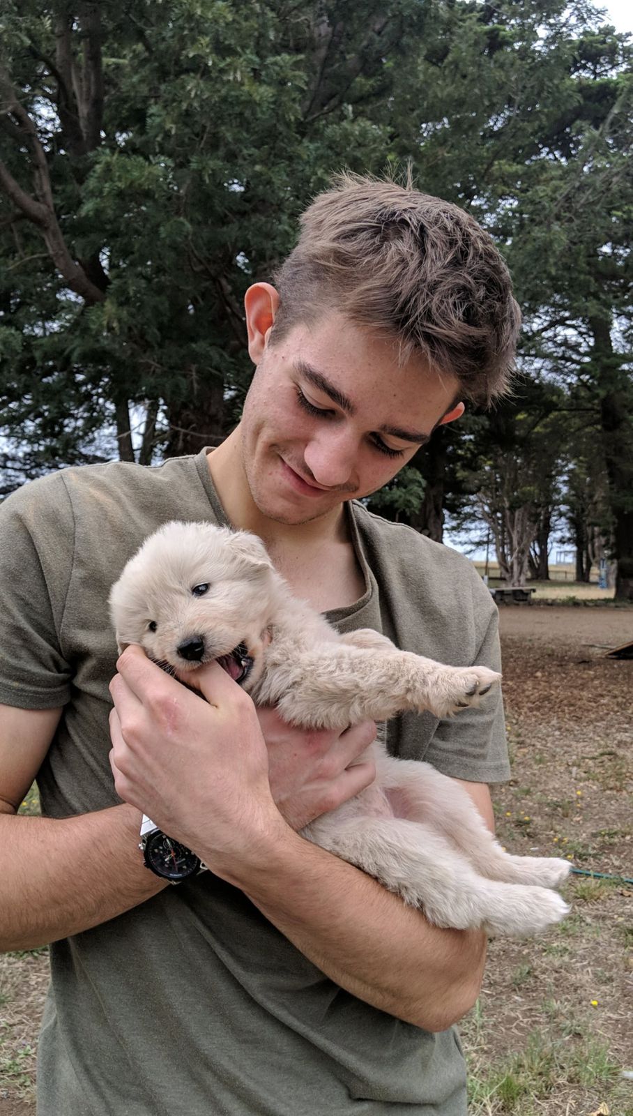 yo - Dynamic Wallpaper Club