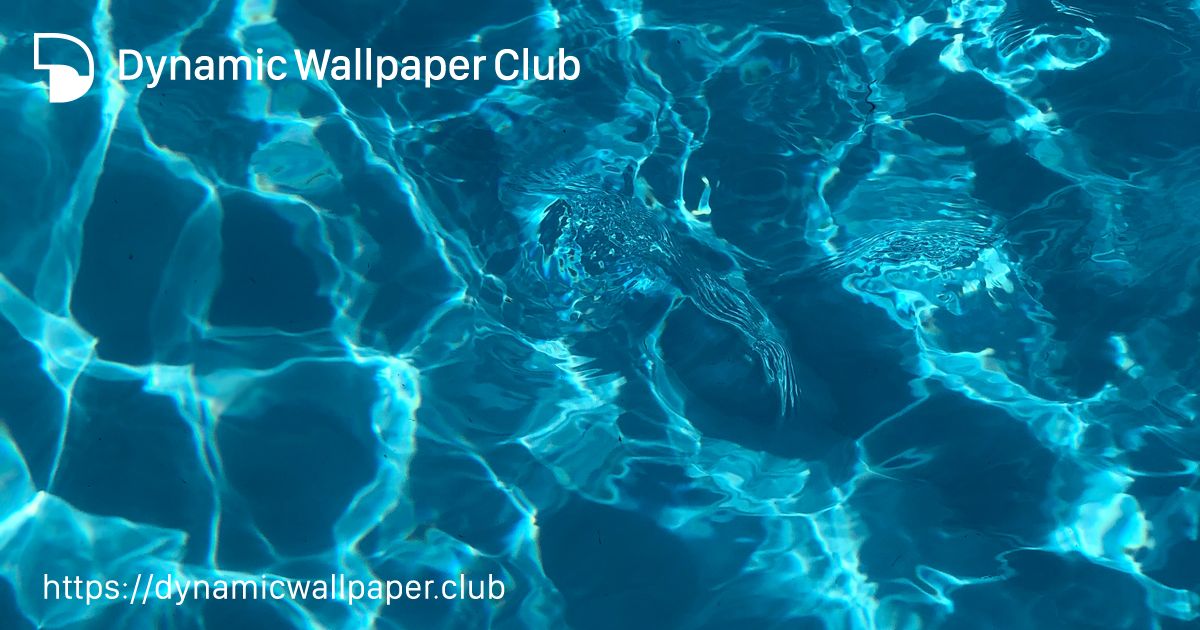 Water - Dynamic Wallpaper Club