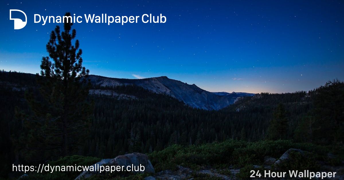 MyWallpaper - Dynamic Wallpaper Club