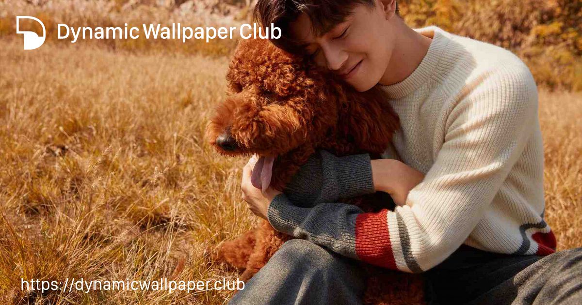 Love - Dynamic Wallpaper Club