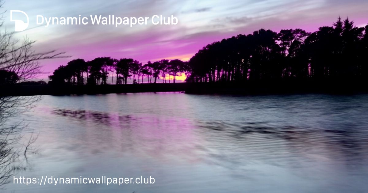 SCENERY - Dynamic Wallpaper Club