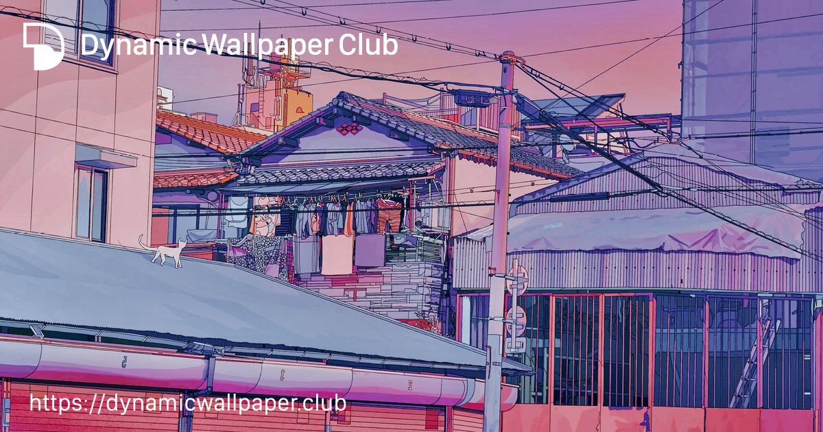 anime cat - Dynamic Wallpaper Club