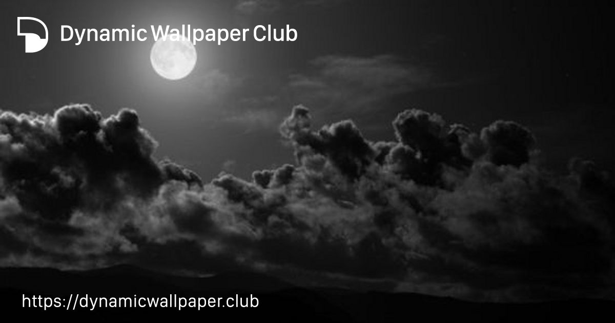 dark - Dynamic Wallpaper Club