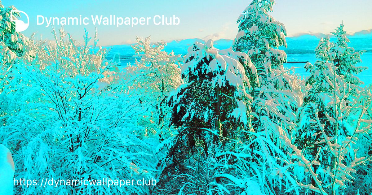 Rippled Winter - Dynamic Wallpaper Club