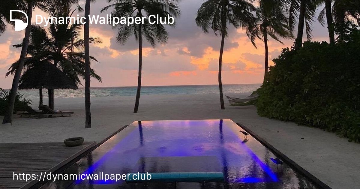 First - Dynamic Wallpaper Club