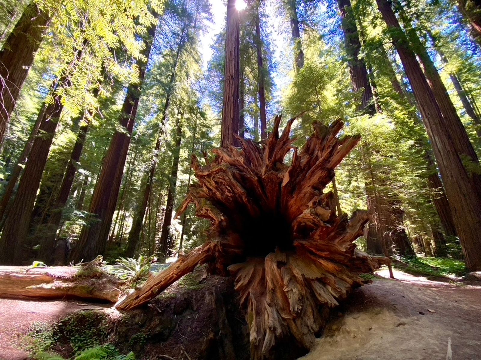 First try - Dynamic Wallpaper Club