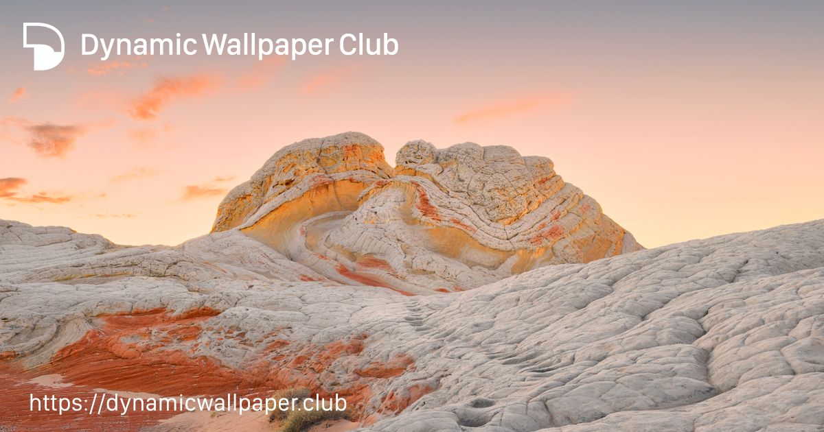 aaaa - Dynamic Wallpaper Club