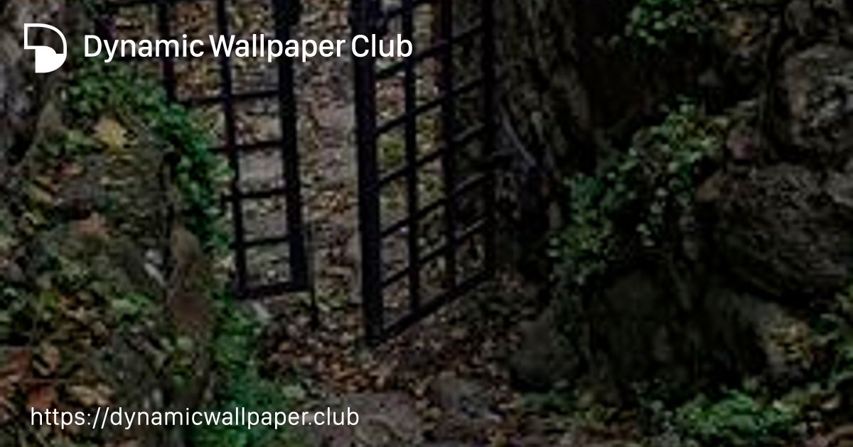 My wallpapers - Dynamic Wallpaper Club