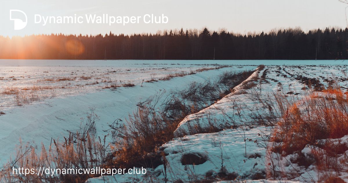 Scenery - Dynamic Wallpaper Club