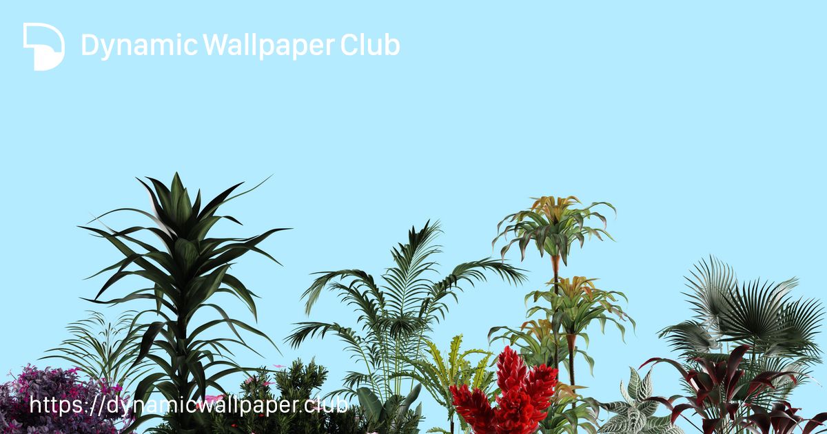 Flowers - Dynamic Wallpaper Club