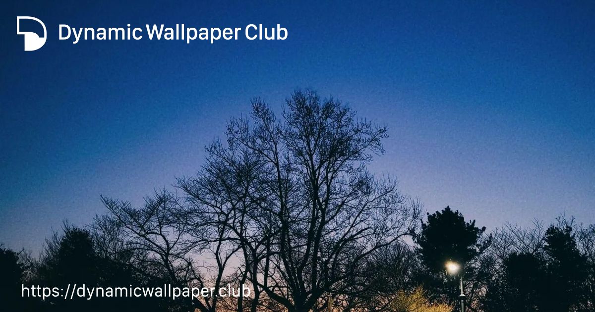 ︎ - Dynamic Wallpaper Club