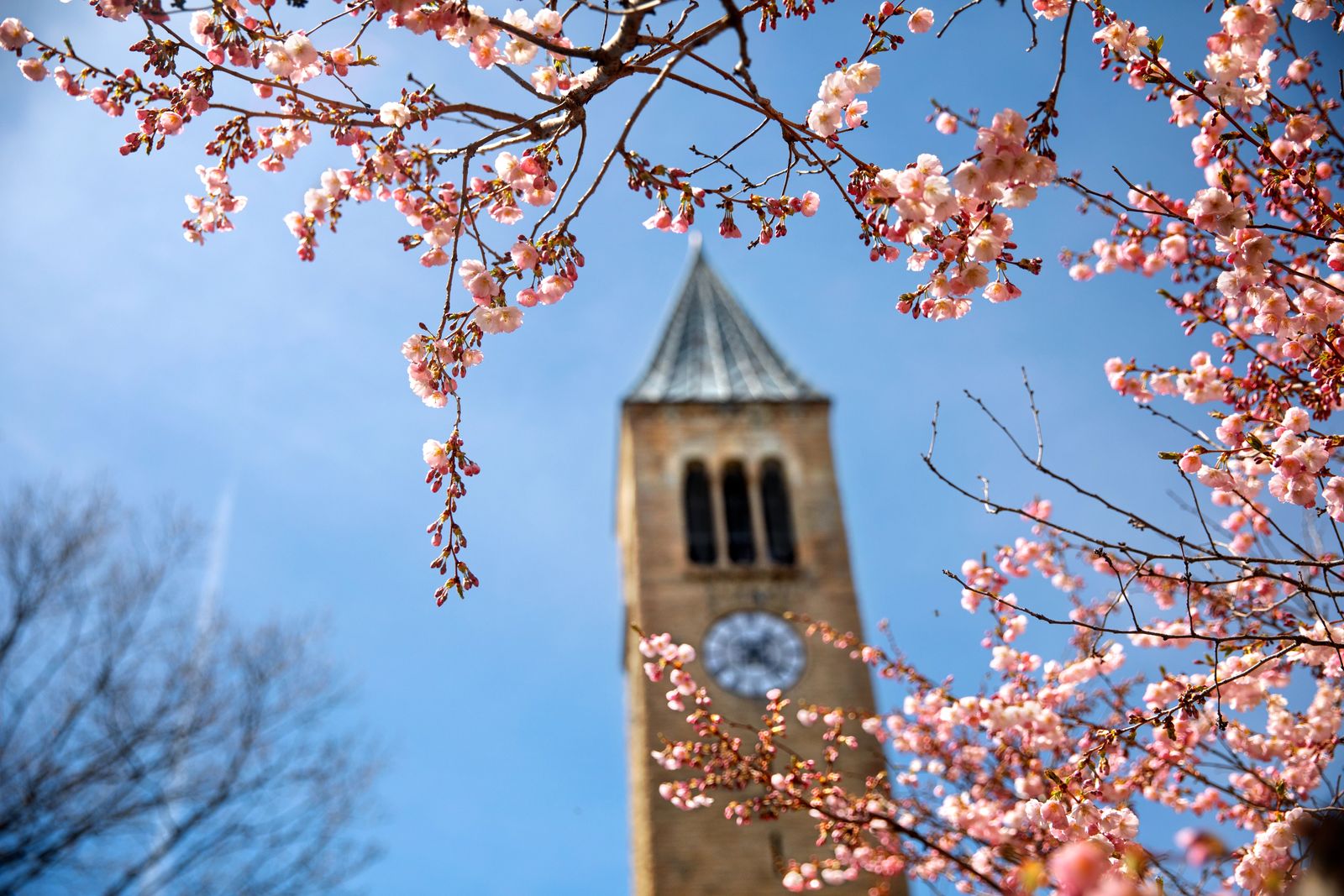 Cornell Seasons - Dynamic Wallpaper Club