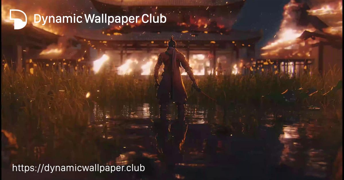 wallpaper - Dynamic Wallpaper Club