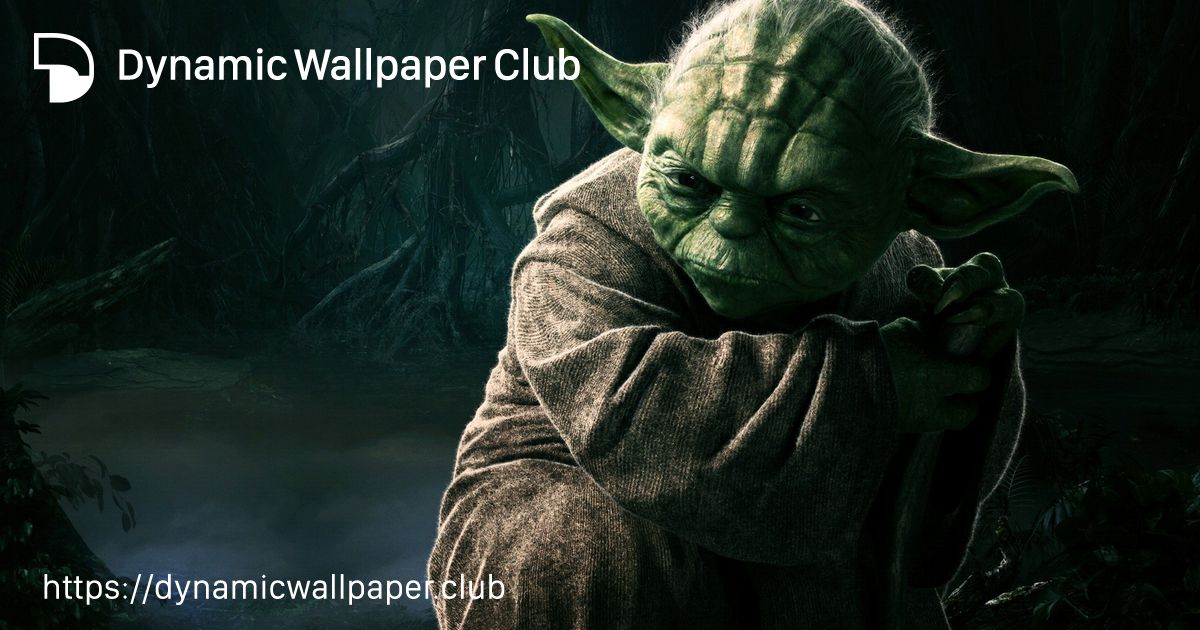 test - Dynamic Wallpaper Club