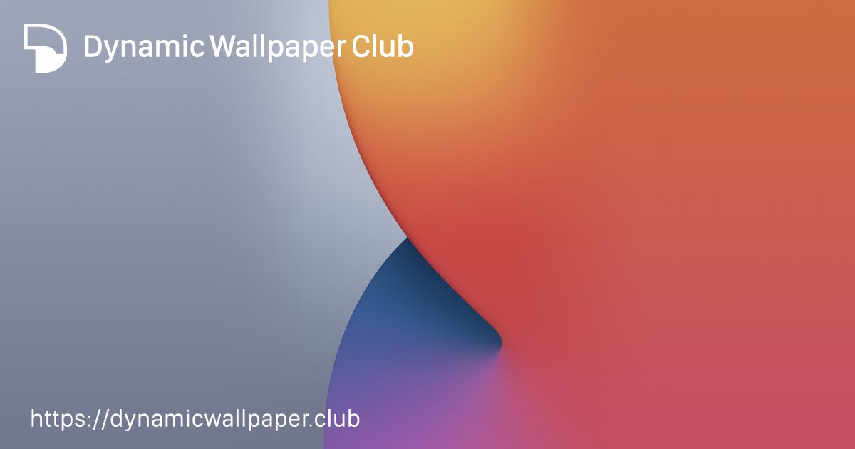 palmer - Dynamic Wallpaper Club