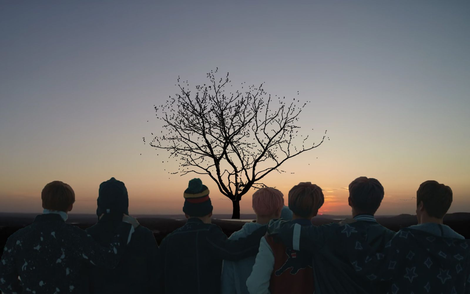 Dynamic Wallpaper Gallery - Dynamic Wallpaper Club