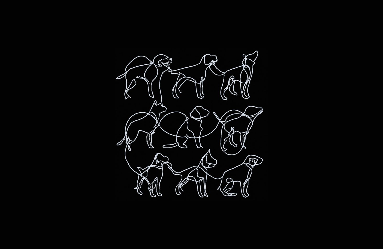 dogs - Dynamic Wallpaper Club