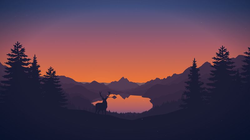 Dynamic Wallpaper Gallery - Dynamic Wallpaper Club